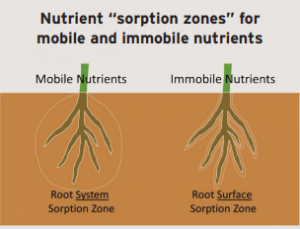 The benefits of homogeneous fertilizers – Rainbow Plant Food